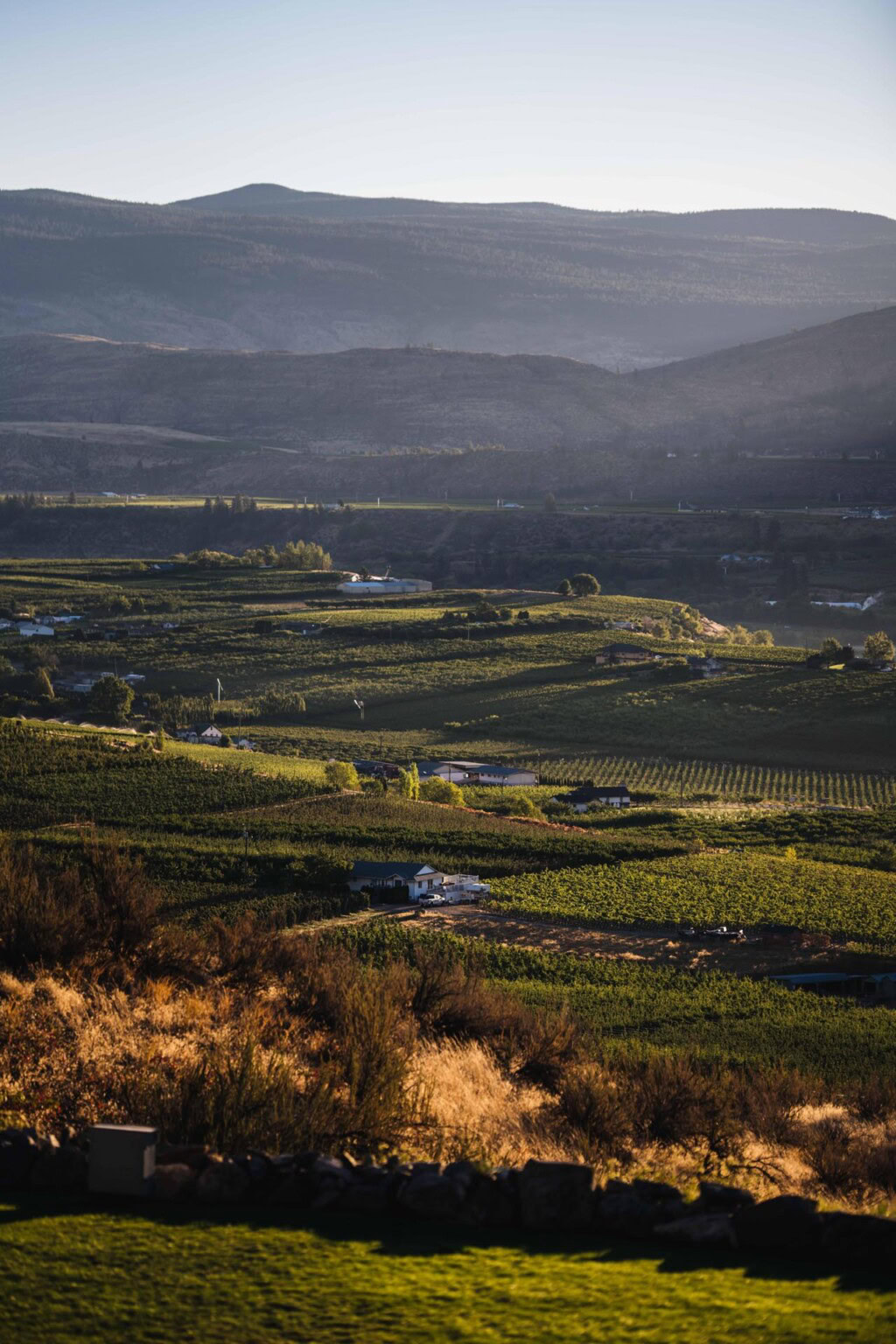 About Us - Tinhorn Creek Vineyards