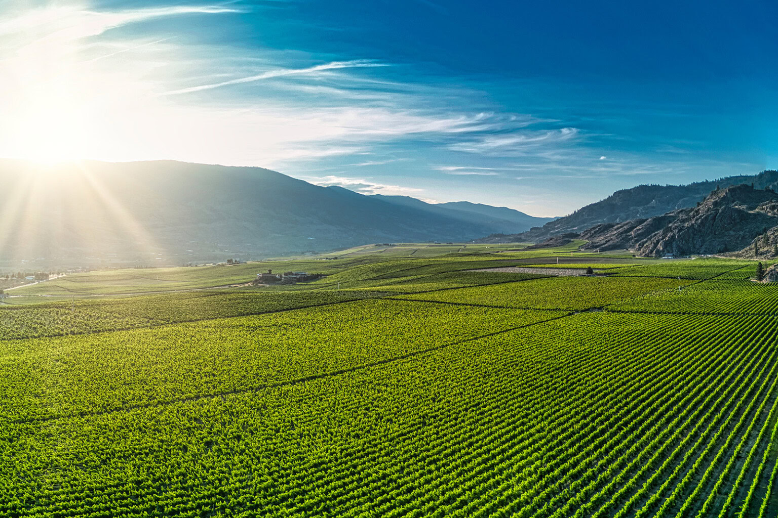 About Us - Tinhorn Creek Vineyards